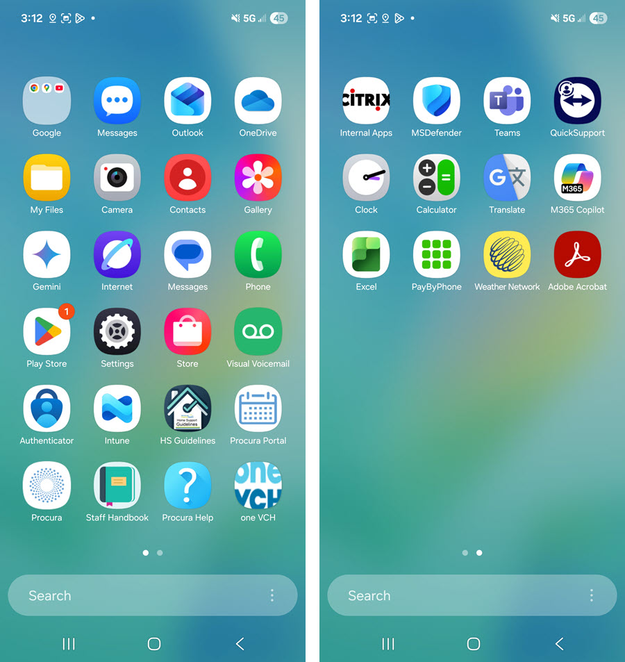 Device Overview – VCH Procura Help